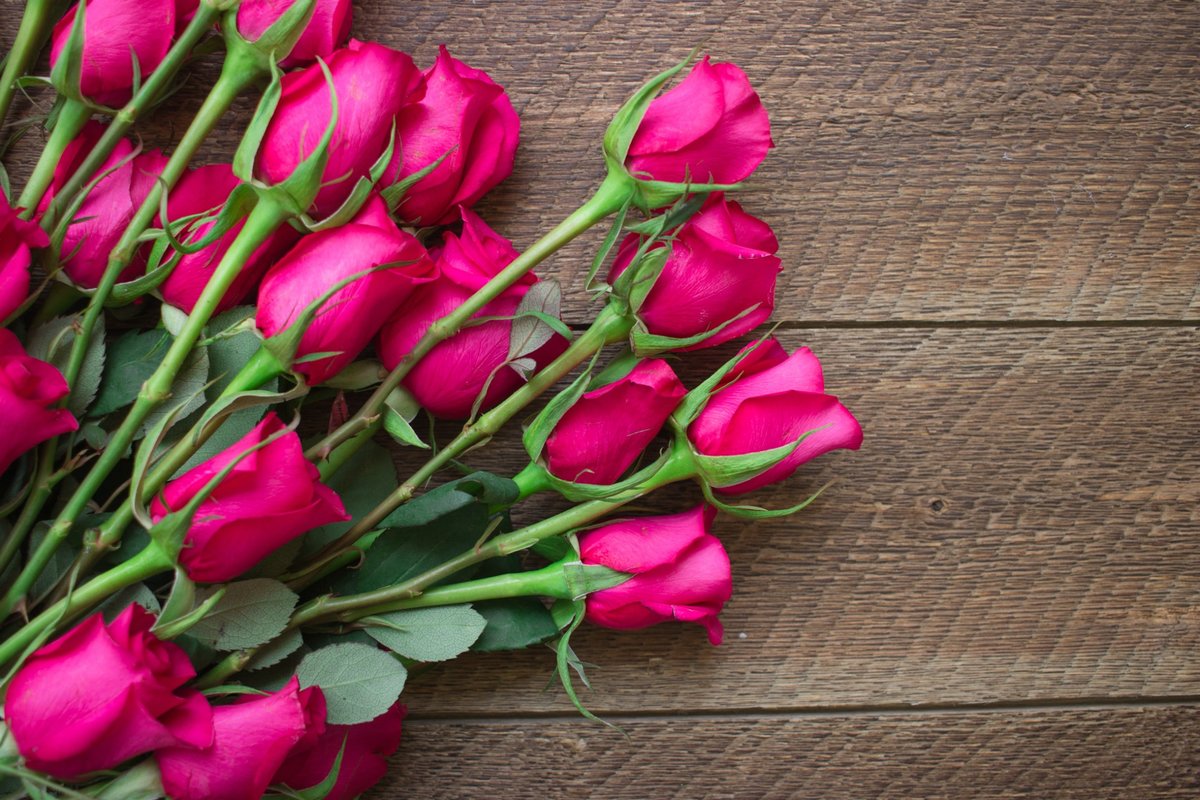 Le langage des fleurs: signification de chaque fleur - Aushop 2025